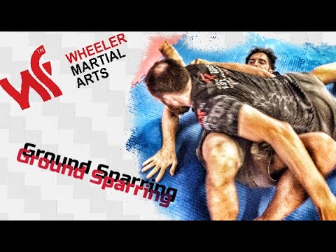 Martin Wheeler Systema ground sparring - YouTube