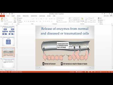 Biochemistry and Genetics II lec15&16. - YouTube