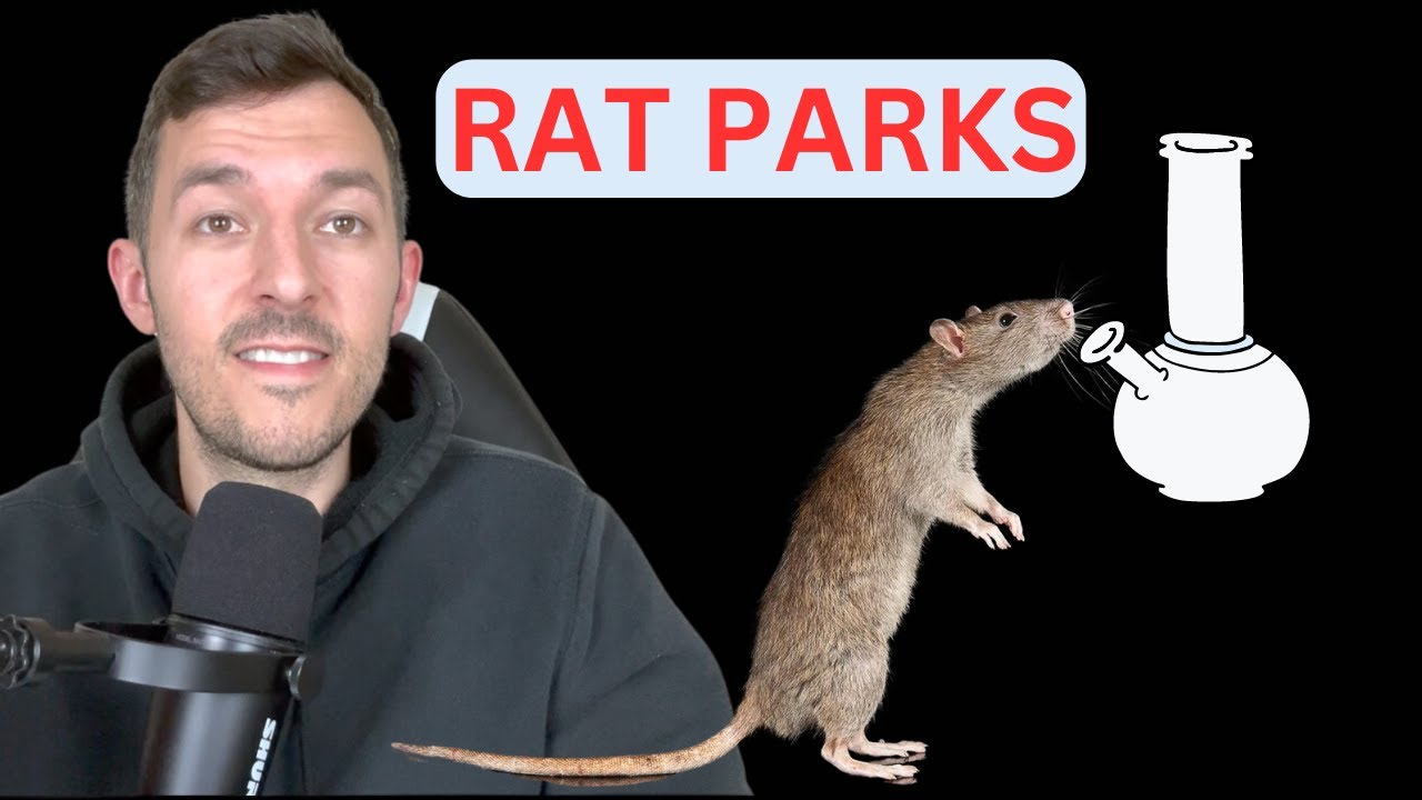 What Can "Rats" Teach Us About Cannabis Addiction? - YouTube