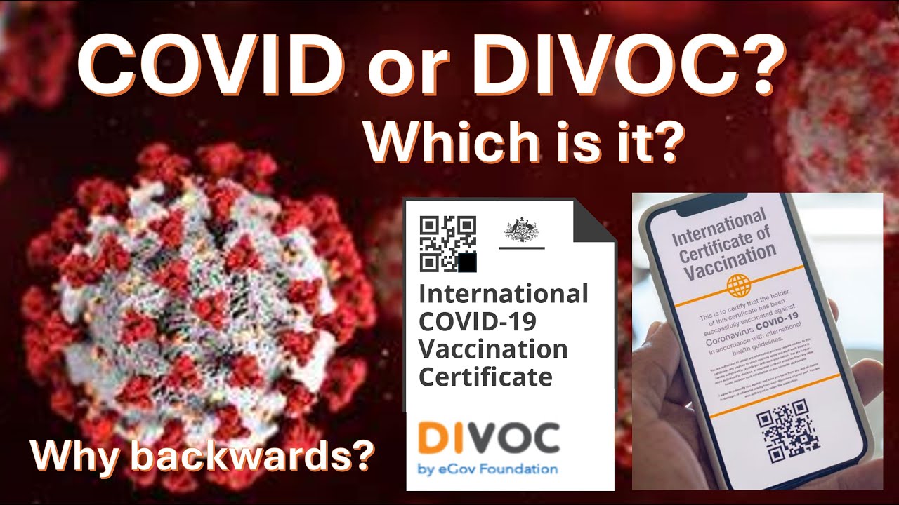 Covid or Divoc Which is it? Divoc Certificate - YouTube