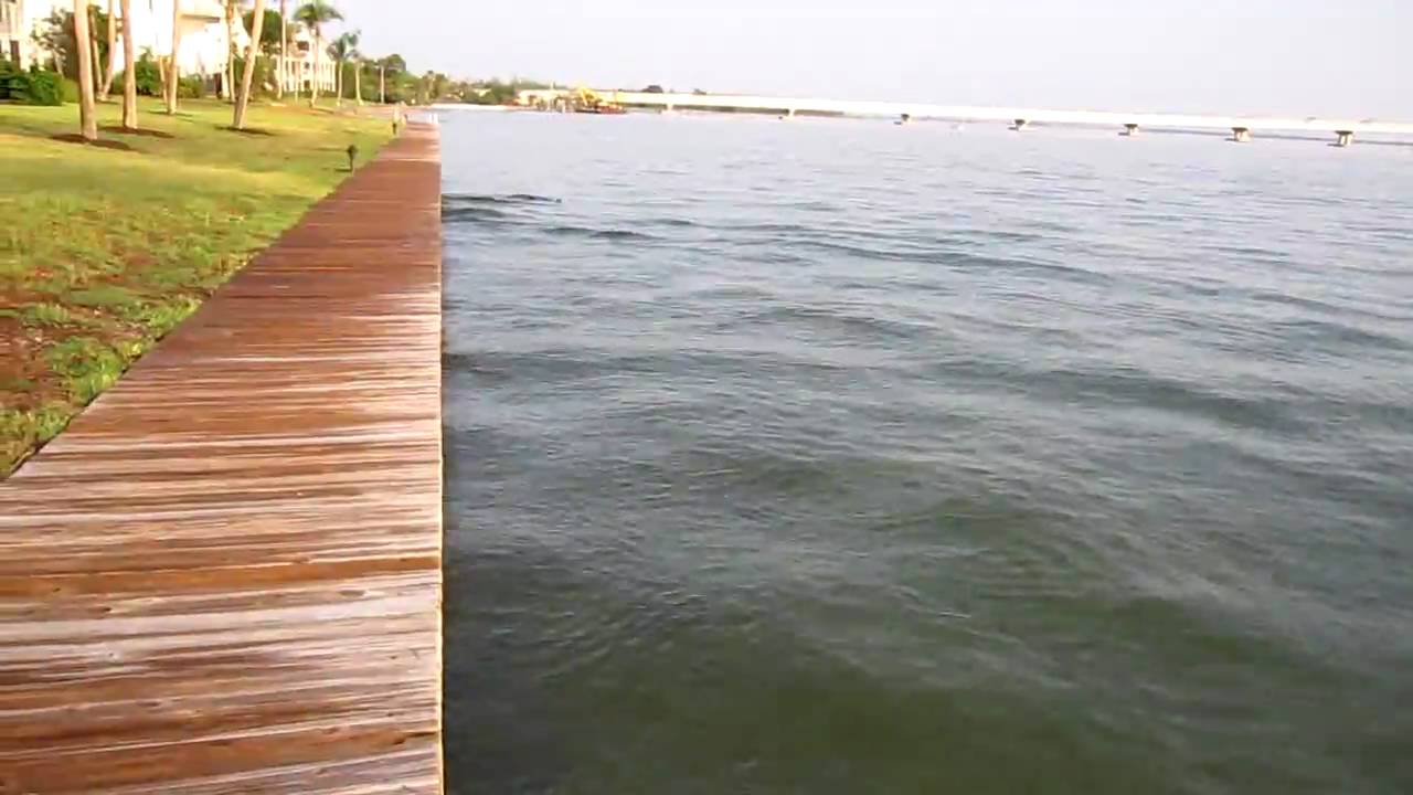 Dolphins at Mariner Pointe, Sanibel Island, FL - YouTube