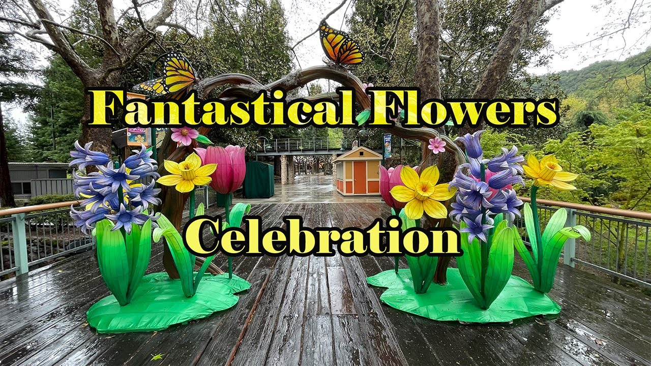 A Rainy Fantastical Flowers Celebration at Gilroy Gardens 2024 - YouTube