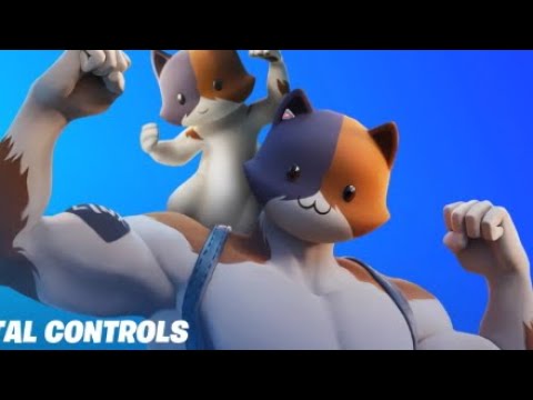 Kit and meowscles rollplay part 1 - YouTube