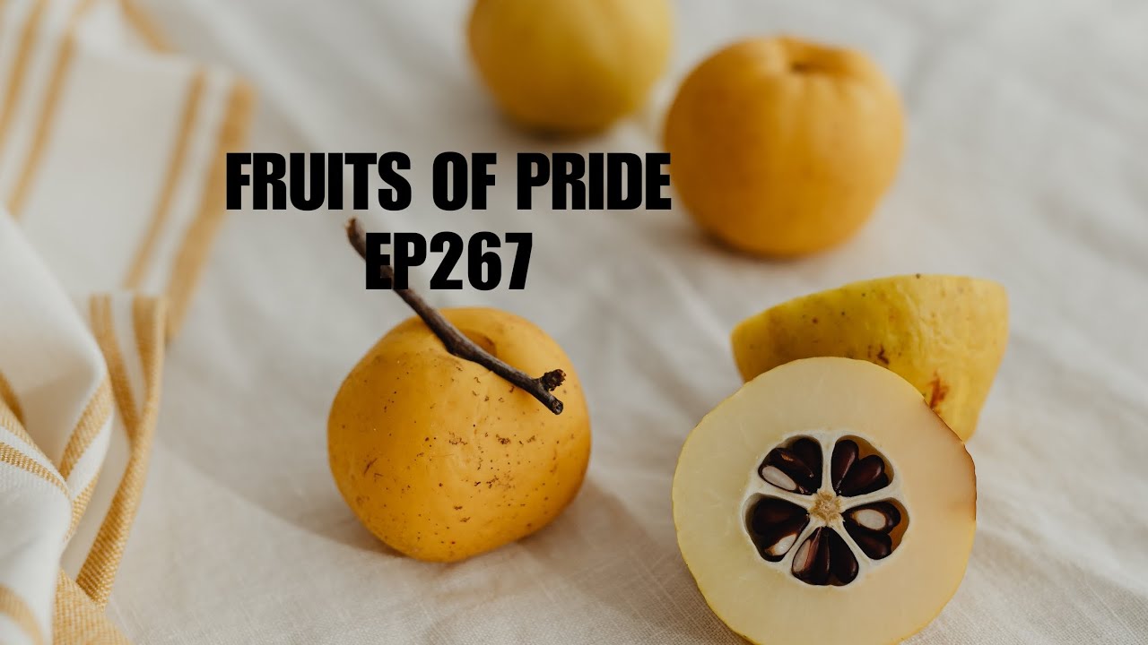 FRUITS OF PRIDE.EP267 OF THE DAILY DEVOTIONAL EDITION. #jesus #jesus # ...