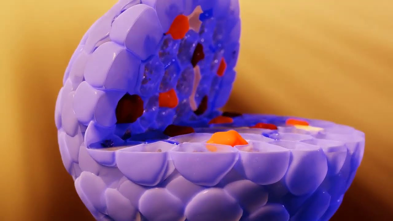 In vitro human liver models of NAFLD and NASH | 3D InSight™ InSphero ...