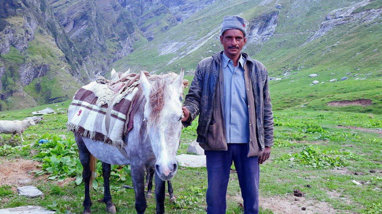 HIMALAYAN SHEPHERD'S NOMADIC PEOPLE LIFESTYLE... - YouTube