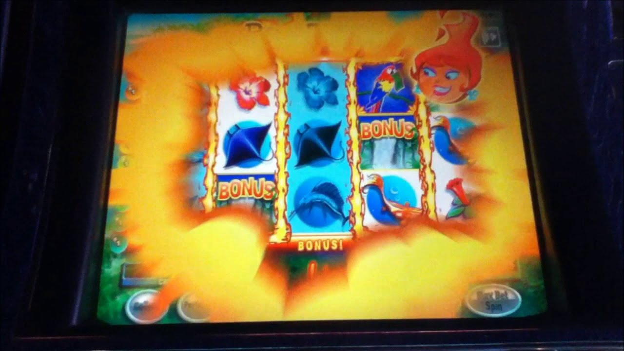 HOT HOT PENNY BLUE LAGOON Penny Video Slot Machine with BONUS ...