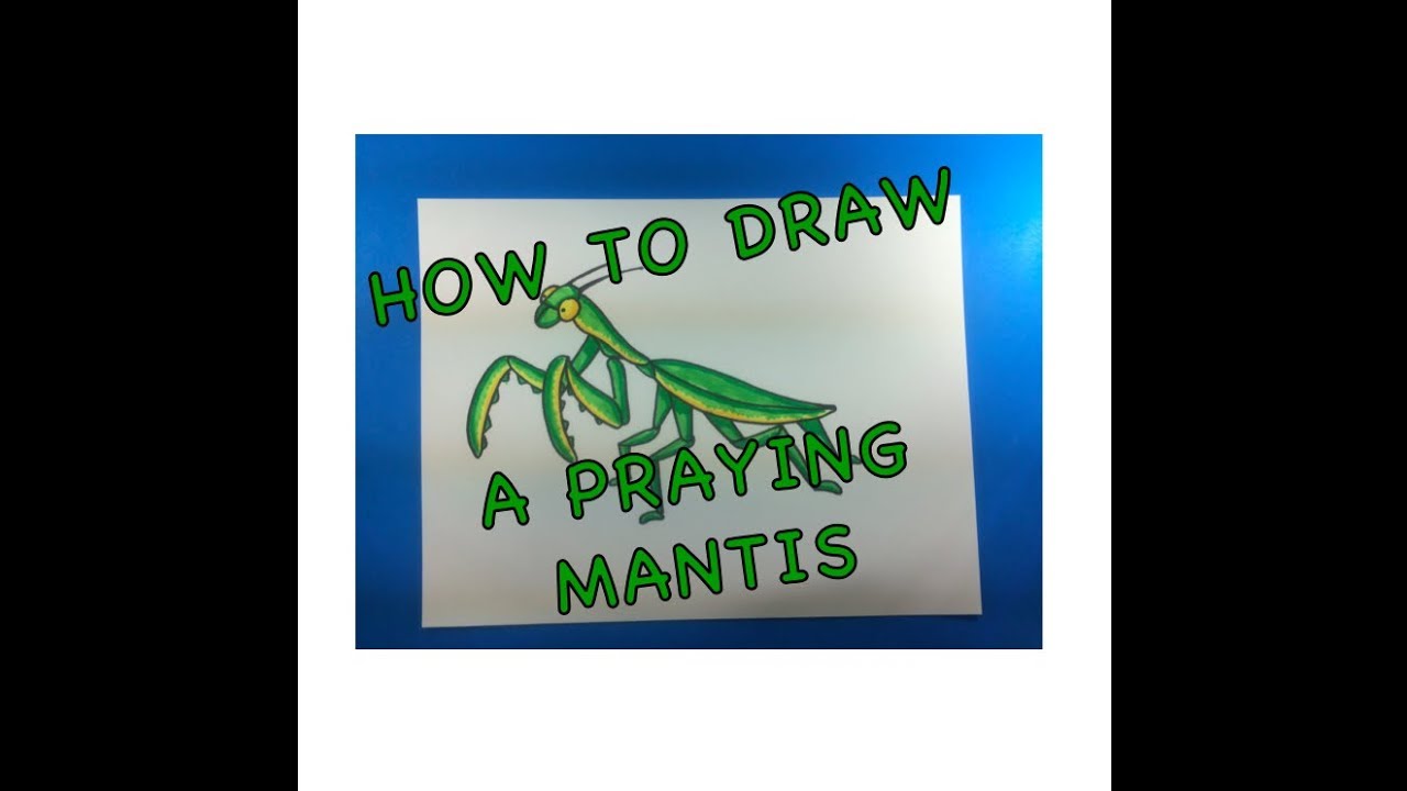 How to draw a Praying Mantis - YouTube