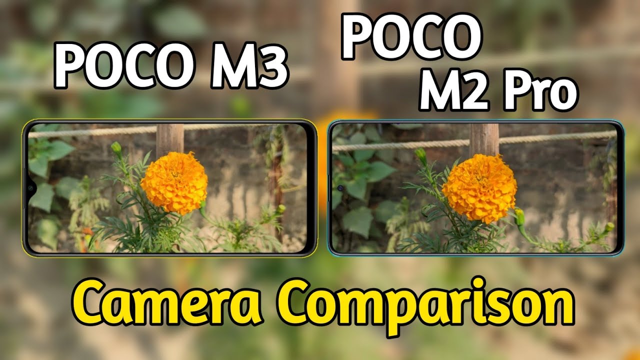 POCO M3 VS POCO M2 Pro Camera Comparison, POCO M3 Camera Review - YouTube