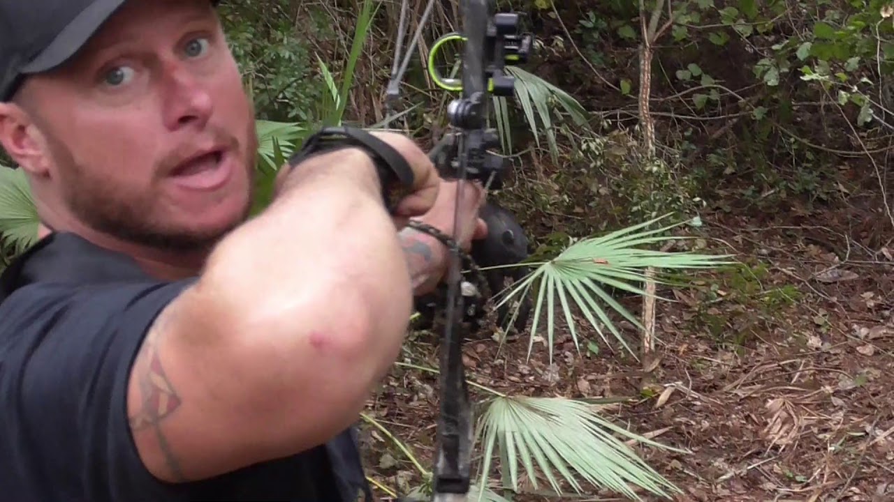 Skunk Ape Tree Stands: Hunting hogs - YouTube