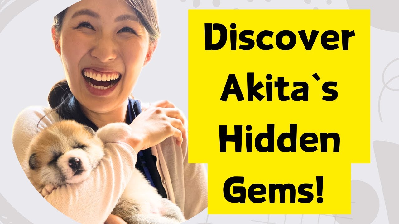【Akita】Meet the Newborn Akita Puppies! - YouTube