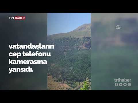 Bitlis'te terör operasyonunda çok sayıda silah ve mühimmat ele geçirildi
