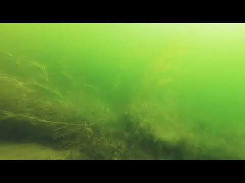 Perris Lake - Alessandro Island PT. 1 - YouTube
