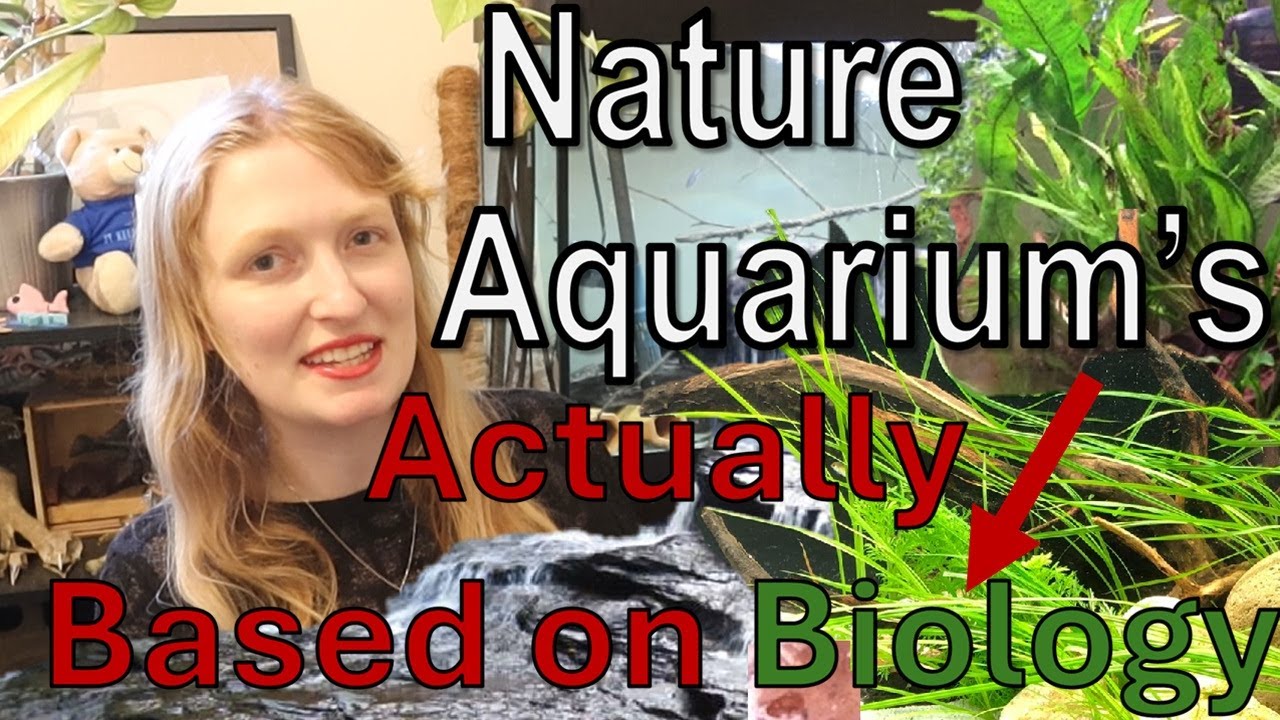 The stable Scientific Aquarium Ecosystem (your water changed aquarium ...