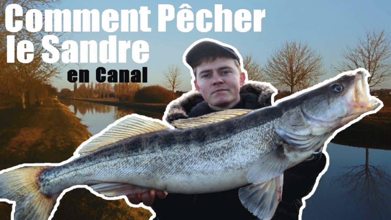 Comment Pêcher Le Sandre En Canal Animation And Matériel Youtube