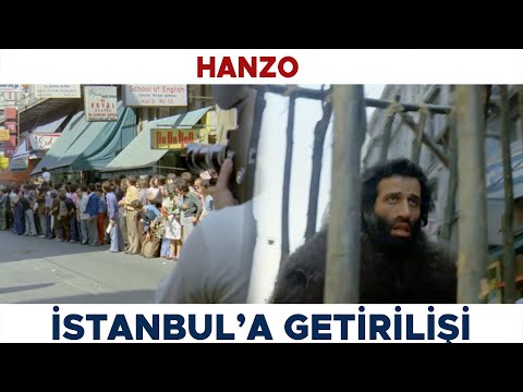 Hanzo Türk Filmi | Hanzo'nun İstanbul'a Getirilişi! Kemal Sunal Filmleri