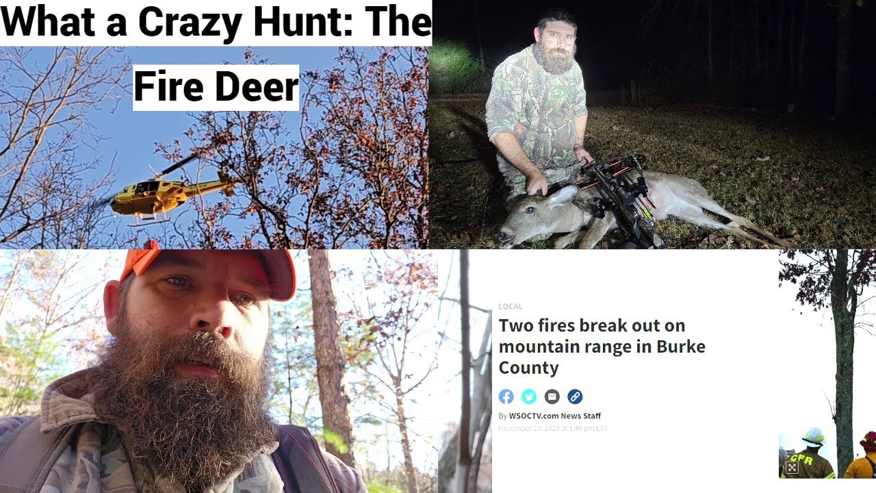 What a crazy hunt: The Fire Deer - YouTube