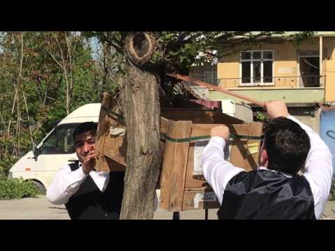 Arıların Kovana tahliyesi