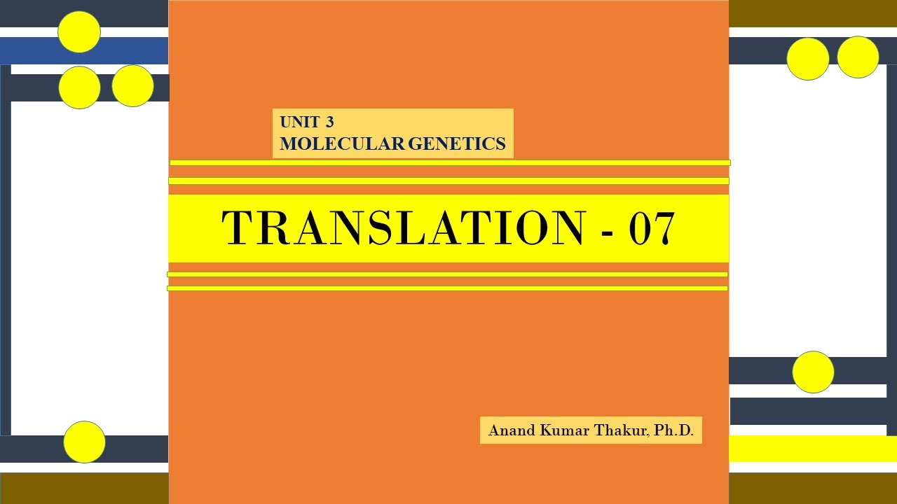 TRANSLATION (Pro) - 7 - YouTube