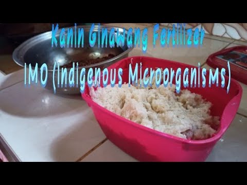 Organic Foliar Fertilizer || How to make IMO (Indigenous Microorganisms) || Organic Agriculture