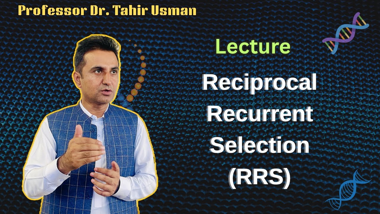 Reciprocal Recurrent Selection (RRS) | Explained with Easy Notes ...