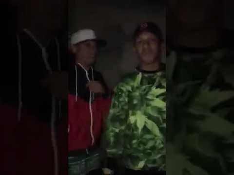 Aboriginal rap👏 - YouTube