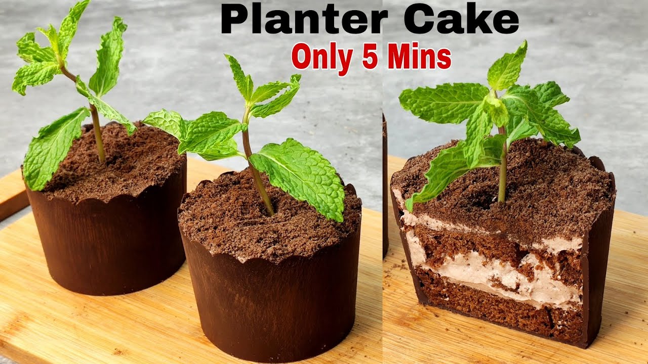 Trending Edible Planter Cake In 5 Mins|ऐसे केक बनाएंगे तो बच्चे खुश हो ...