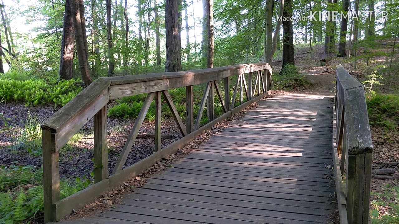 Patuxent Research Refuge, Bowie, Maryland. - YouTube