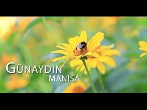 Günaydın Manisa - Amerikan Kültür Koleji Kreşi (21.10.2015)