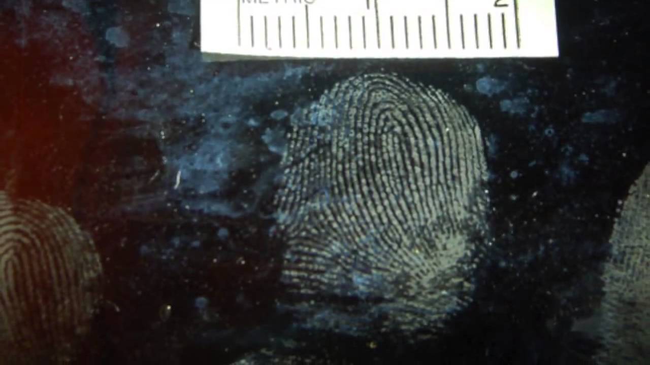 Group #17 Fingerprints in National Treasure - YouTube