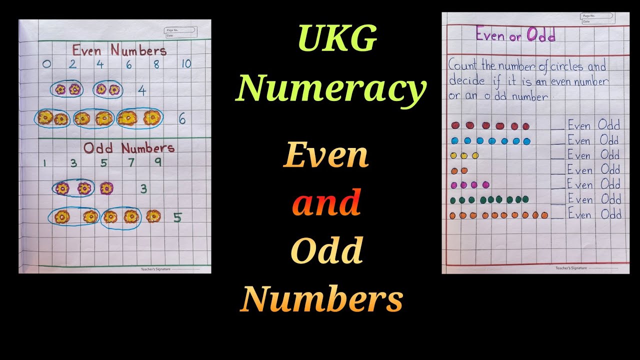 UKG Numeracy/Even and Odd Numbers Practice Worksheet - YouTube