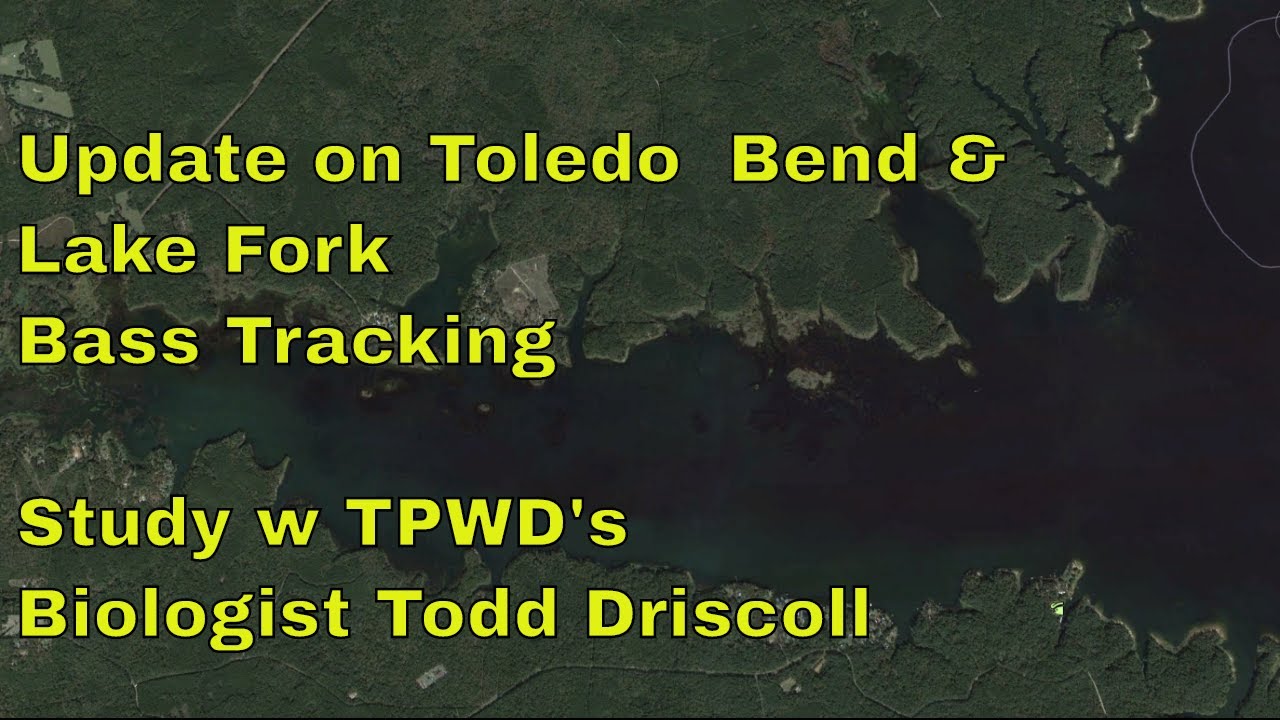 Update Toledo Bend & Lake Fork Bass Tracking Studies from TPWD's ...