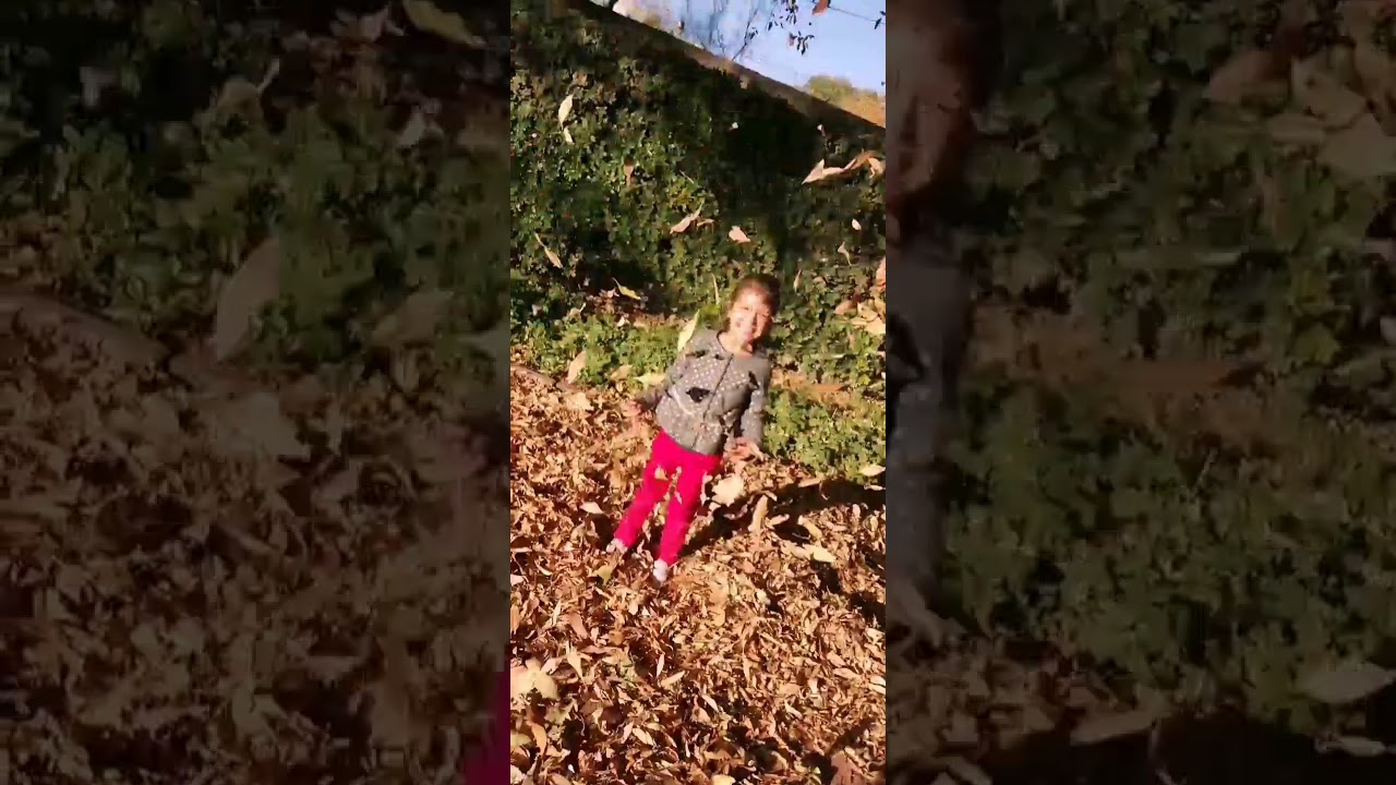 Mía fall 🍁🍁🍁 - YouTube