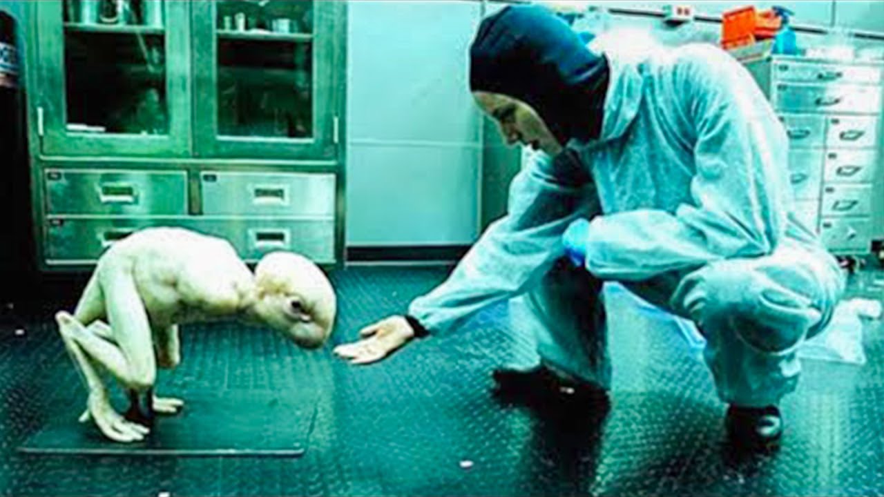 15 Hybrid Animals Created By Scientists You Won’t Believe Exist - YouTube