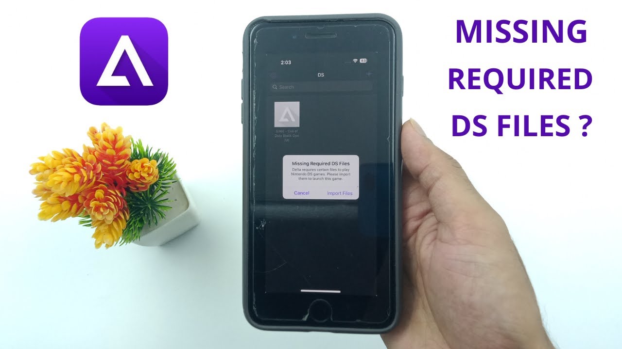How to Add Missing Required DS Files On Delta Emulator in iPhone - YouTube