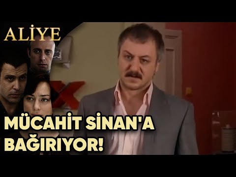 Mücahit Sinan'a Bağırıyor! - Aliye 73.Bölüm