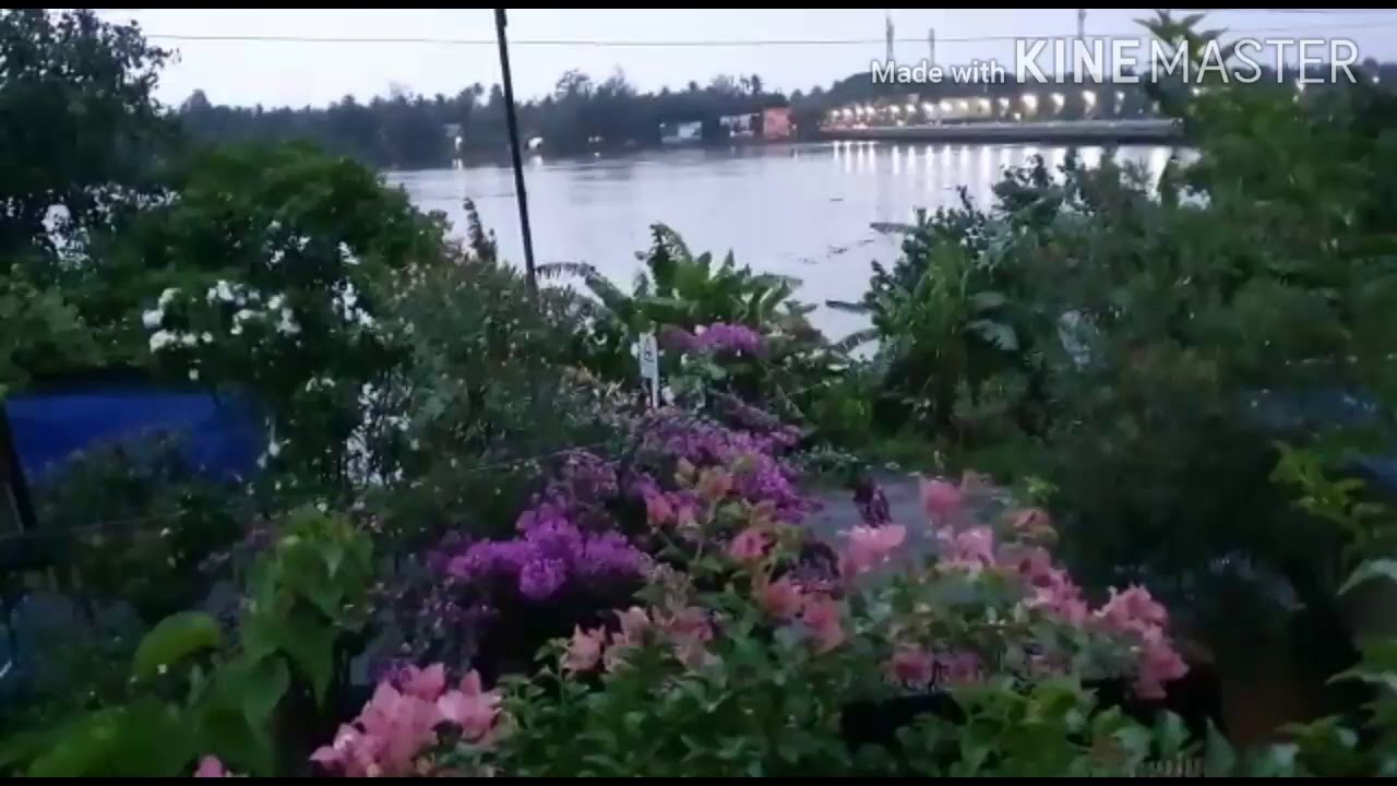 Thottappally evening video - YouTube