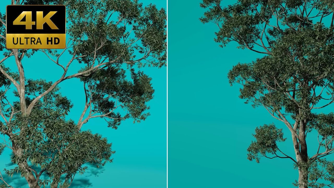 001 - Green Screen | Chroma Key | Corner Tree 4K - YouTube