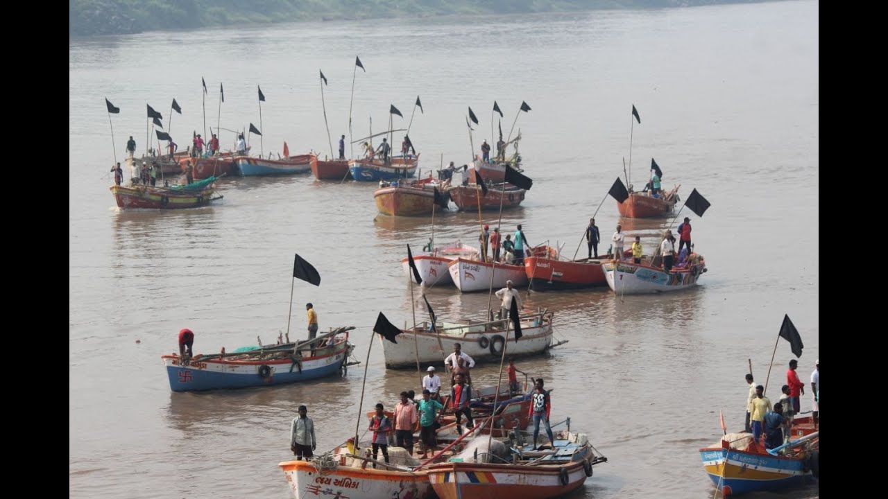 Chakara - fish coming to shore - YouTube