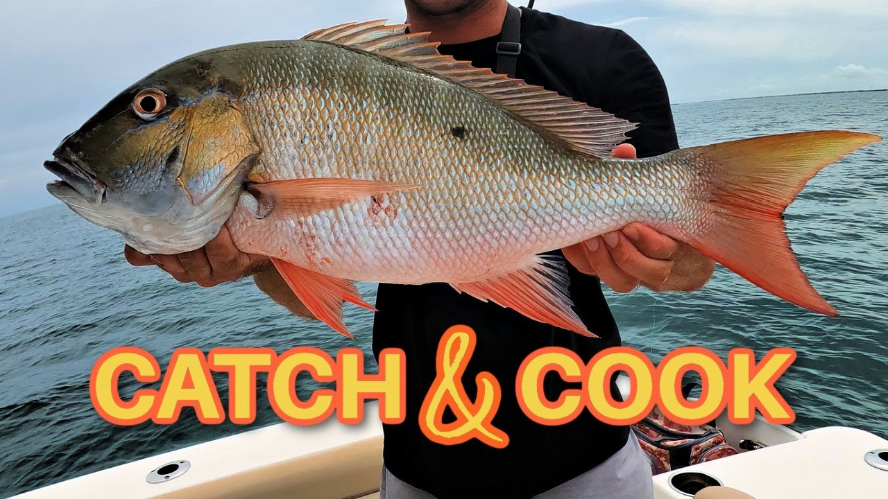 Monster Mutton Snapper & Easy Summer Ceviche - YouTube