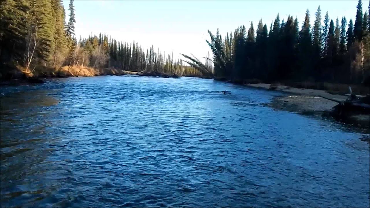 Salcha River Airboating full length - YouTube