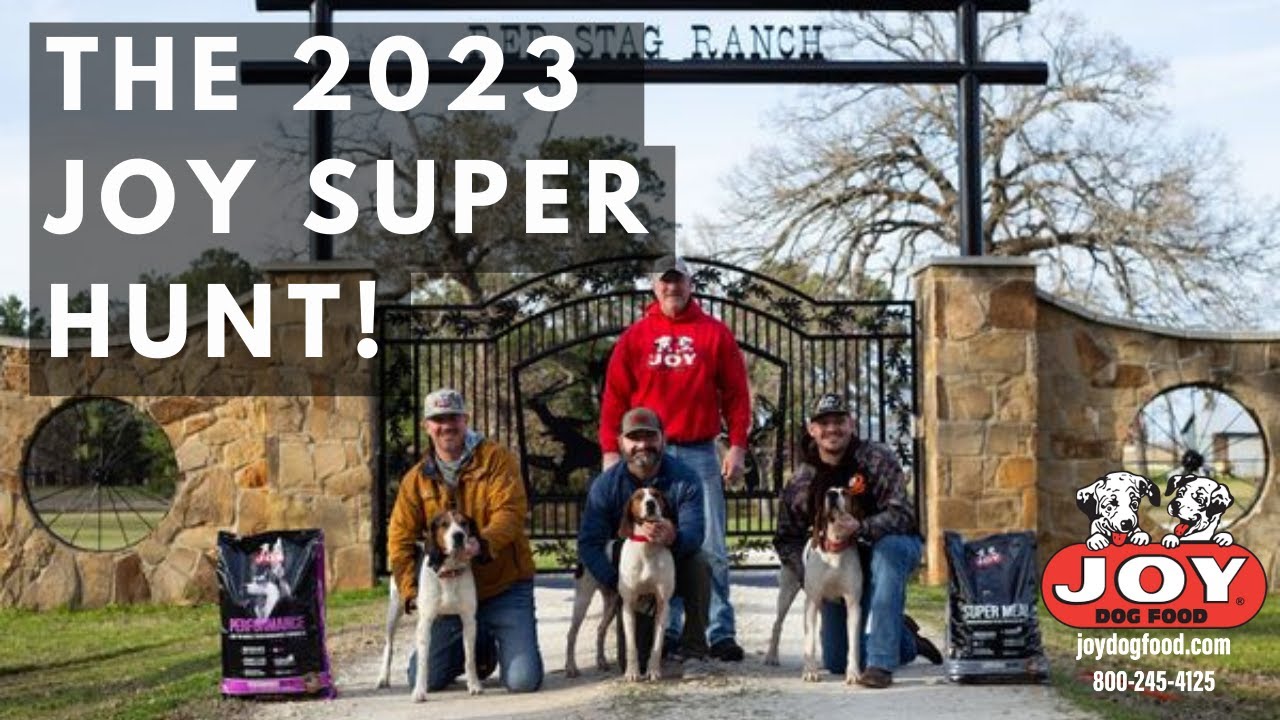 Joy Super Hunt 2023 | Fueled by Joy - YouTube