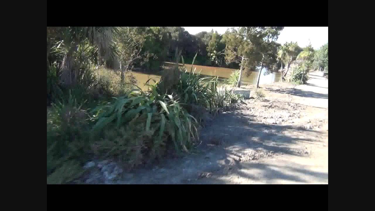 Liam Eeling - YouTube