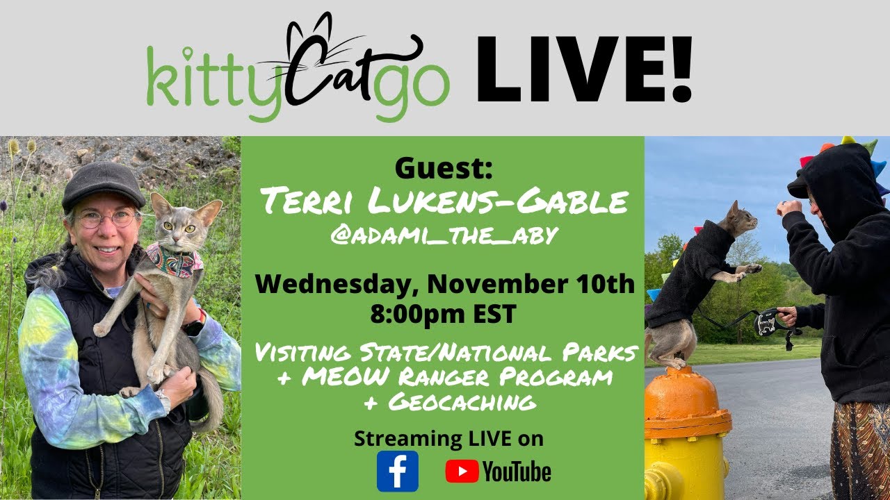 KittyCatGO LIVE! with Terri Lukens-Gable - Visiting State/National ...