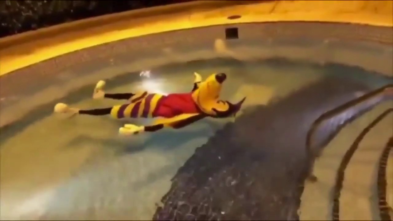 El mismo video del goofy flotando con diferentes canciones - YouTube