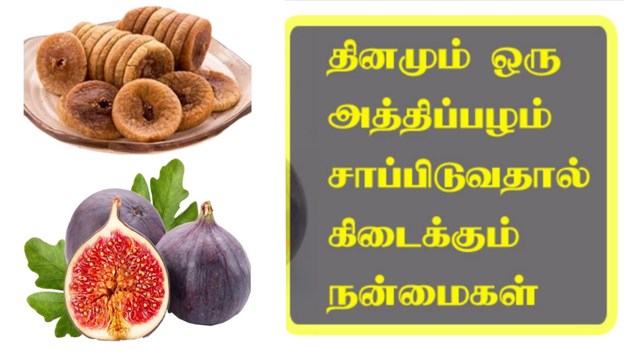 அத்திப்பழம் நன்மைகள் |Health Benefits of Fig Fruit | Athipalam | Fig ...