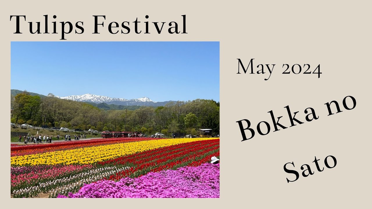 #21 Japan | Gifu | One day trip to Tulip Festival May 2024 Bokka no ...