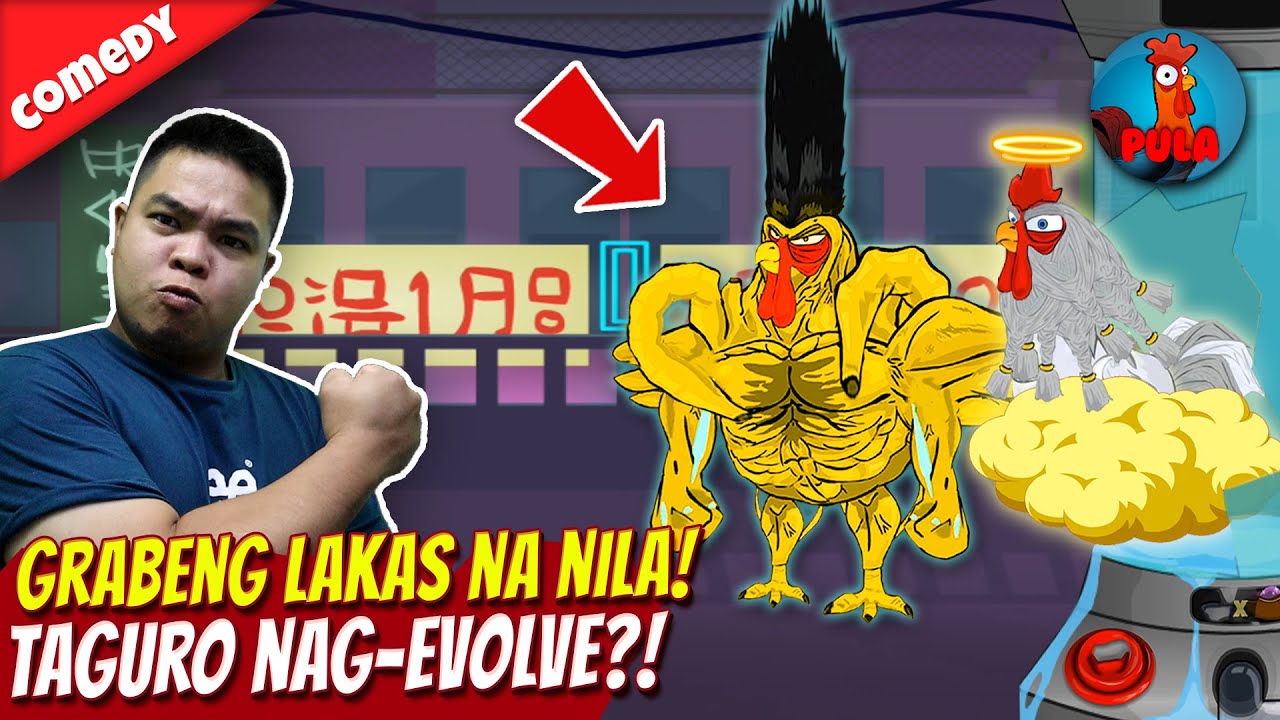 Taguro 120% Nag-Evolve Pati Ibang Manok! - Manok na Pula - YouTube