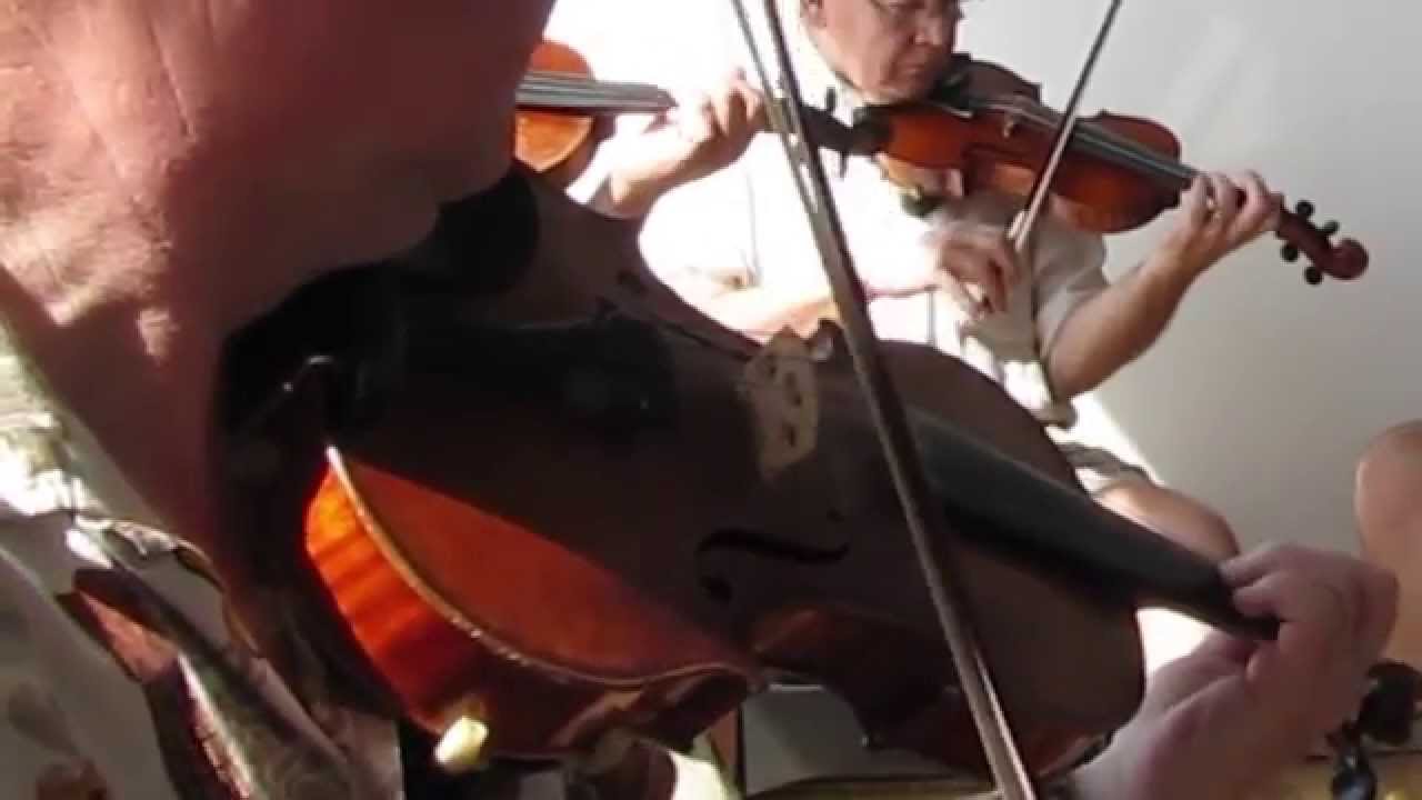 Black Sally Goodin Play Along Slow - Charlie Walden, fiddle - YouTube