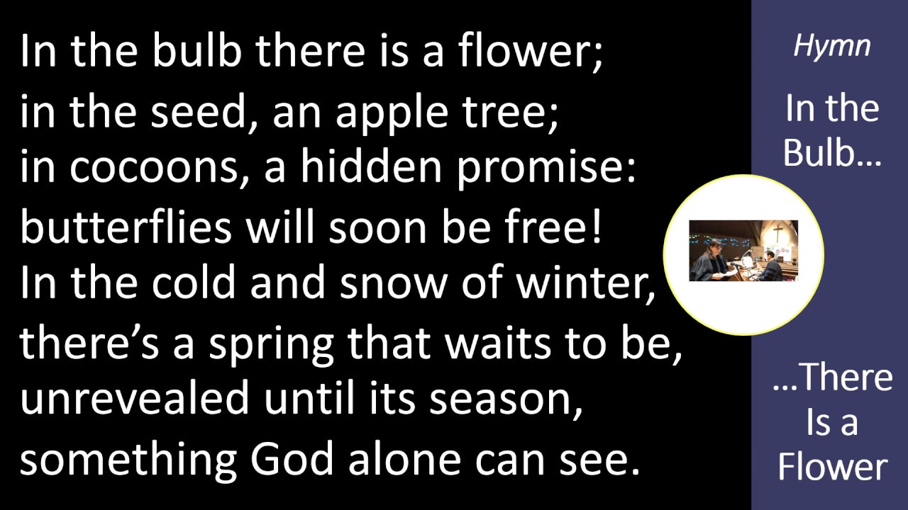 In the Bulb there is a Flower - YouTube